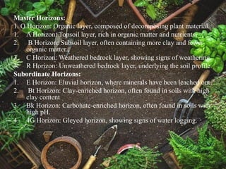 Soil introduction and quality and quantity of soil | PDF