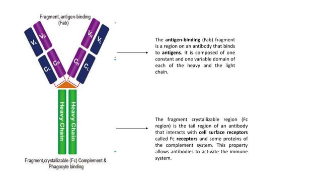 Quality assessment of biologics | PPTX