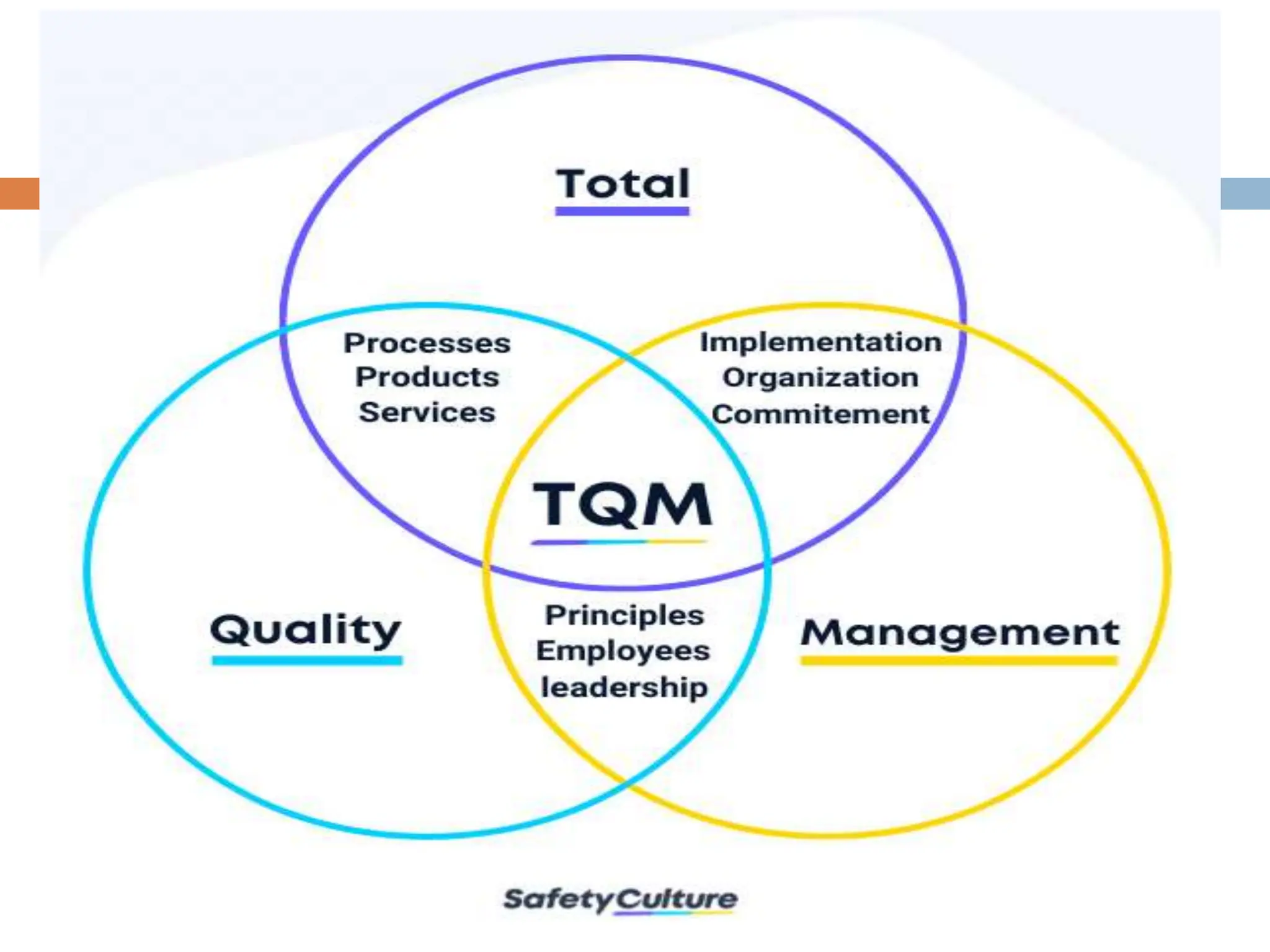 Quality assurance and quality management concepts.pptx