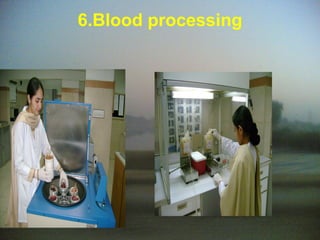 Quality assurance in blood banking | PPT