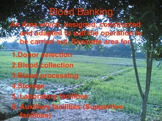 Quality assurance in blood banking | PPT