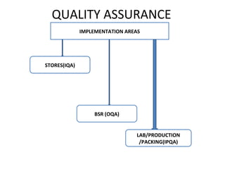 Quality assurance road map | PPT