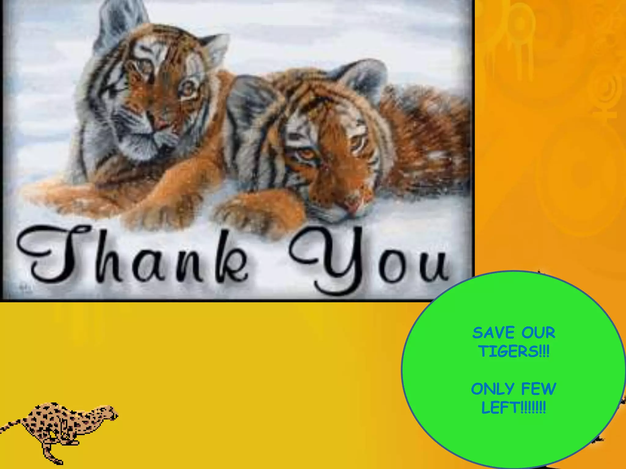 Save The Tigers | PPTX