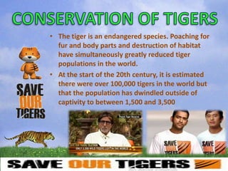 Save The Tigers | PPTX