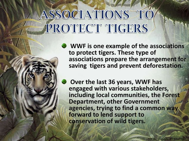 Save The Tigers | PPTX