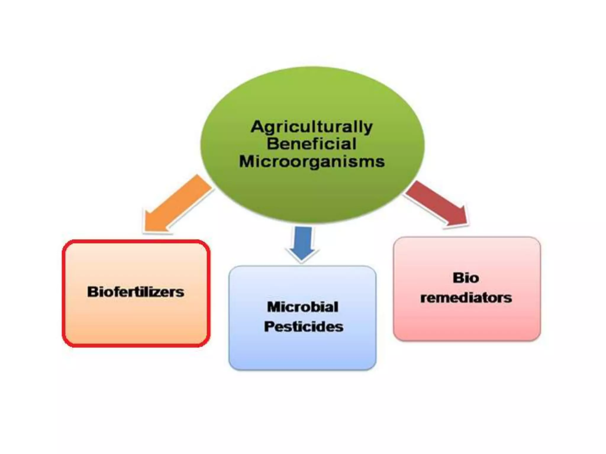 Quality control and constraints in biofertilizer production technology ...