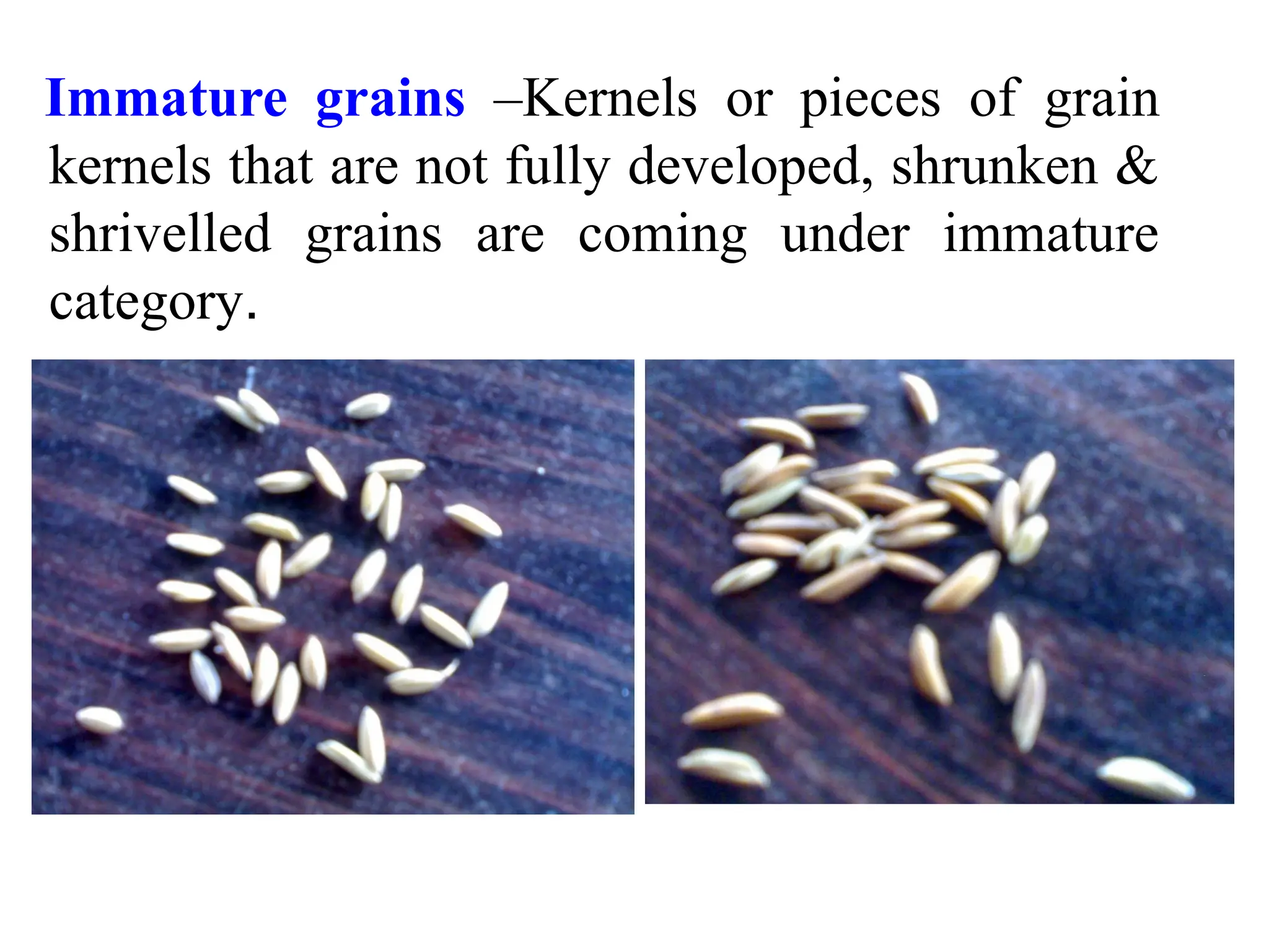 Quality Control Cell of Paddy Presentation.ppt