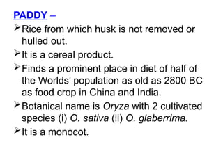 Quality Control Cell of Paddy Presentation.ppt