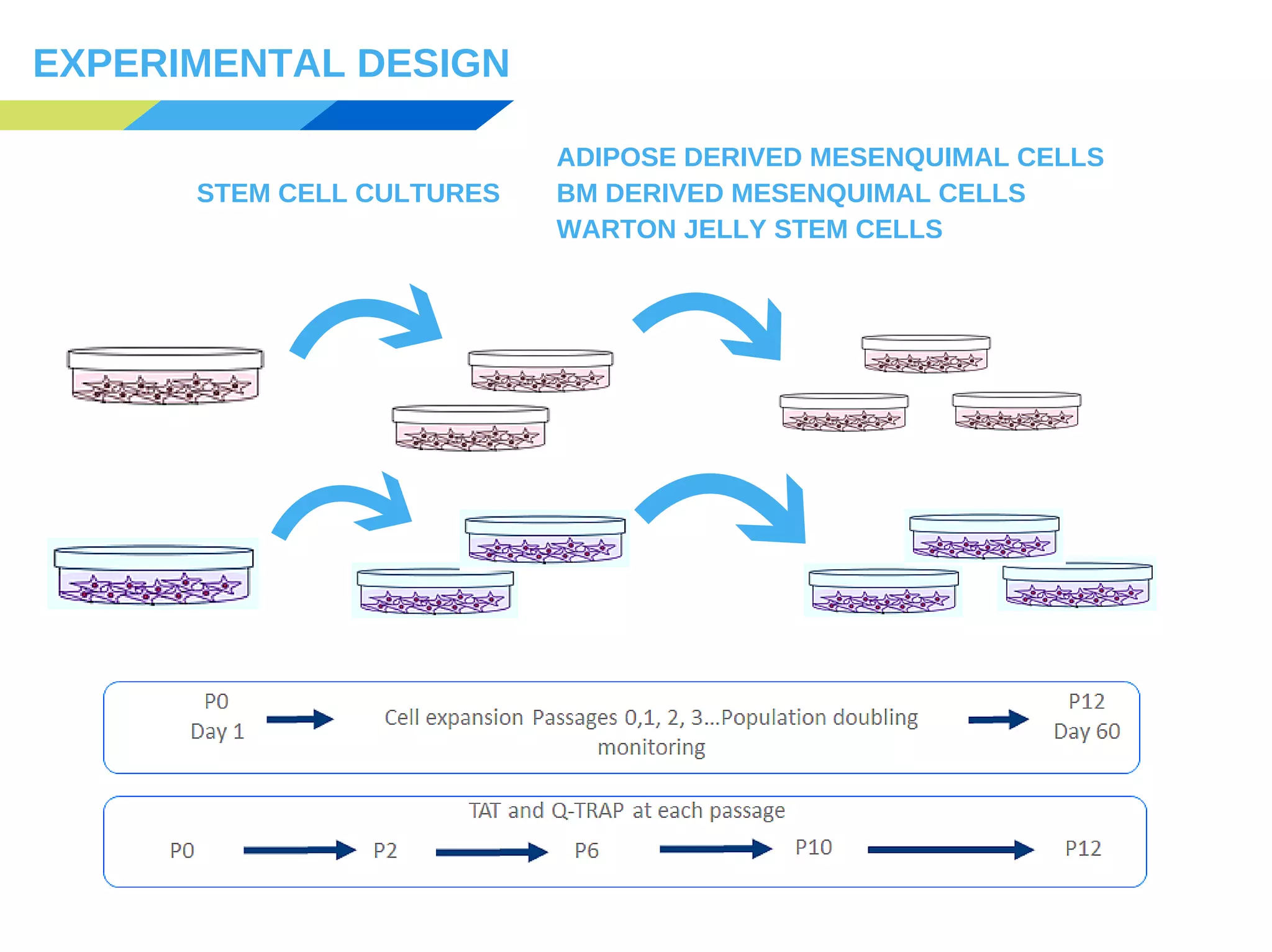 Quality control for stem cells | PDF