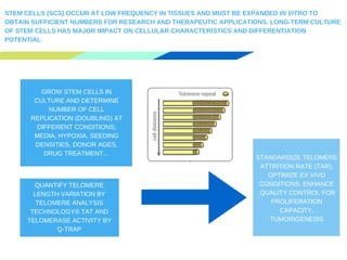 Quality control for stem cells | PPT
