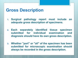 Quality Control In Histopathology Dr.Rami amawi.pptx