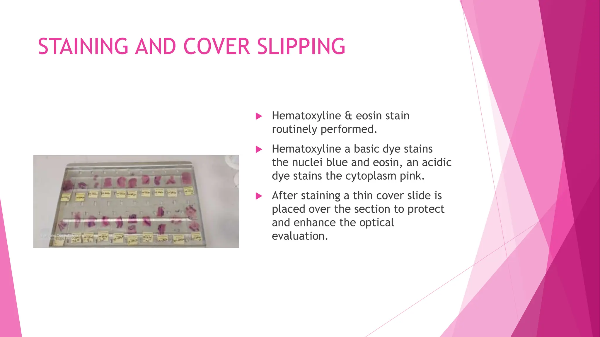 Quality control in Histopathology Lab.pptx