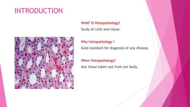 Quality control in Histopathology Lab.pptx | Medical Tests | Medical Health