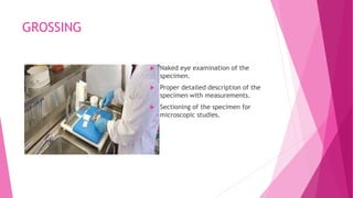 Quality control in Histopathology Lab.pptx