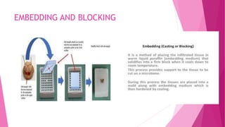 Quality control in Histopathology Lab.pptx