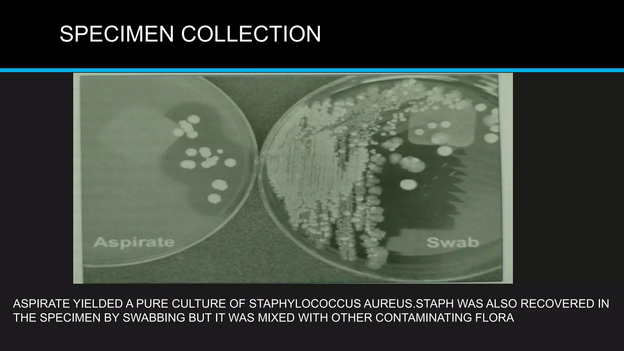 Quality control in microbiology | PPTX