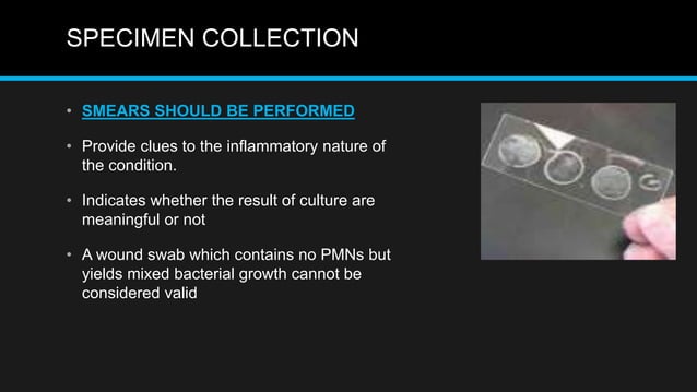 Quality control in microbiology | PPTX | Infectious Diseases | Diseases ...