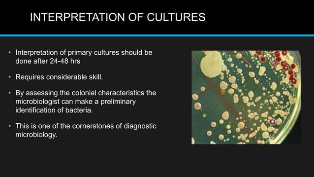 Quality control in microbiology | PPTX | Infectious Diseases | Diseases ...