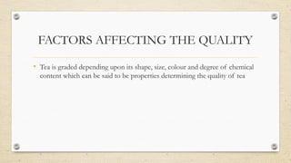 quality control in tea production and processing | PPTX