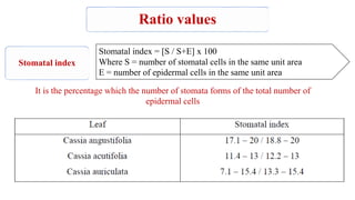 Quality control lec1 | PPT