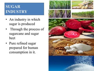 Quality control of sugar indusry. | PPTX