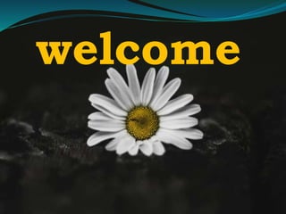 Quality control standard | PPTX