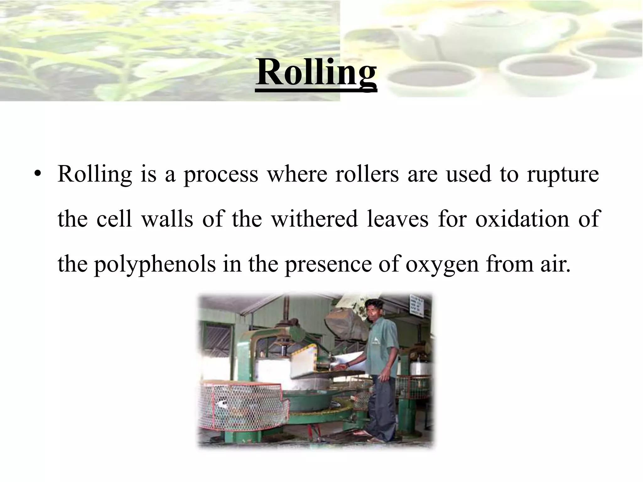 Quality management in rathnayake tea factory | PPTX