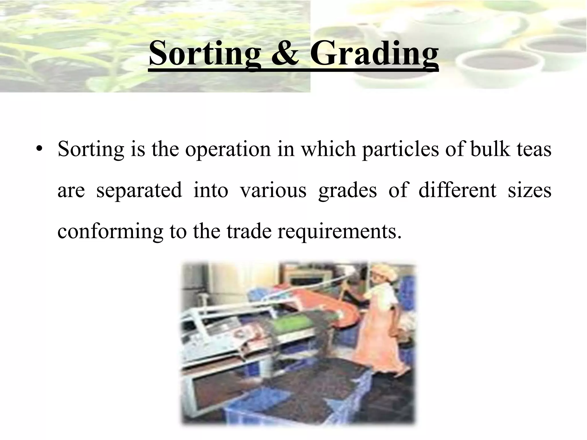 Quality management in rathnayake tea factory | PPTX