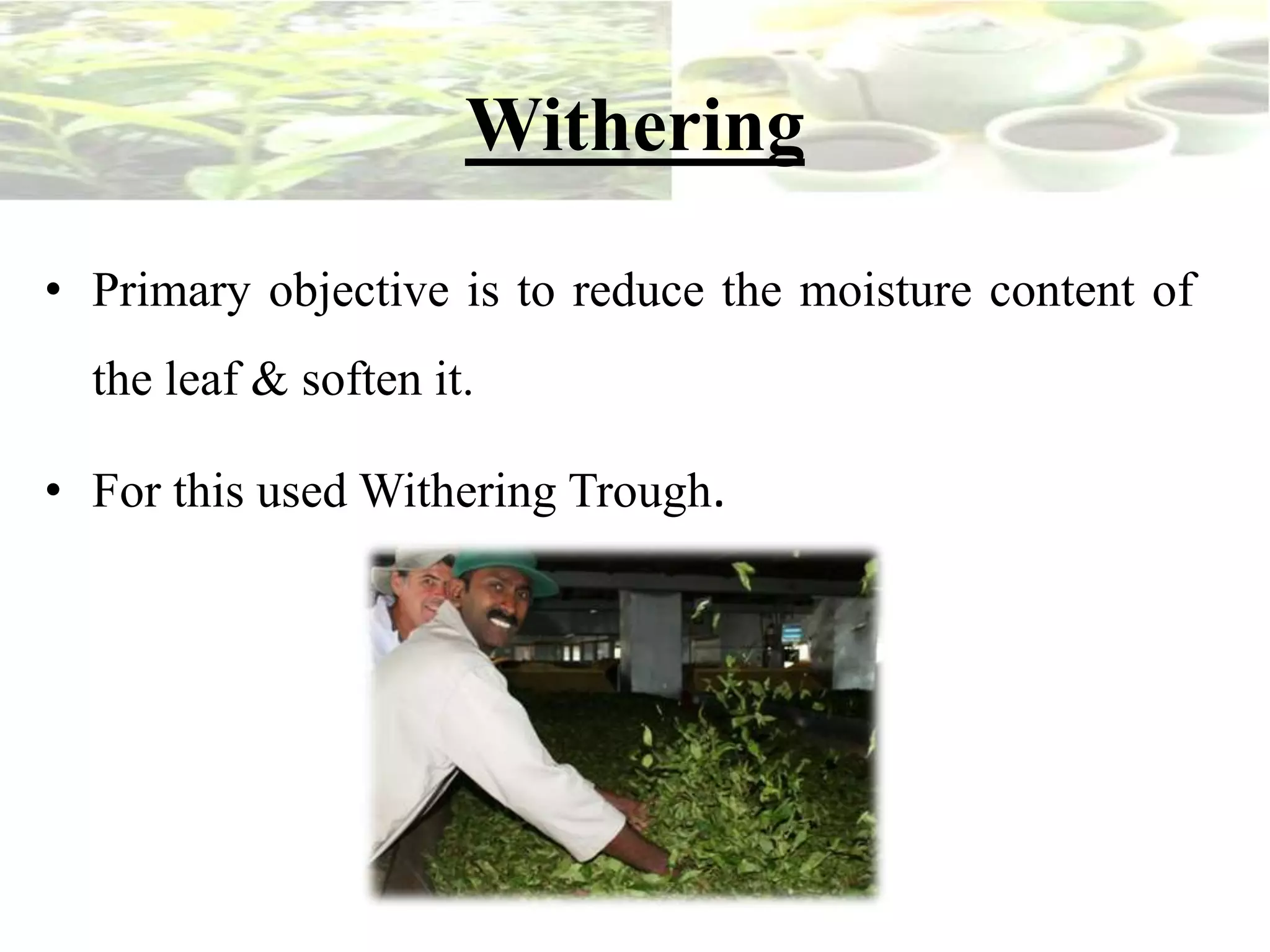 Quality management in rathnayake tea factory | PPTX