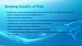 Fish and Marine Foods : Quality of fish | PPTX