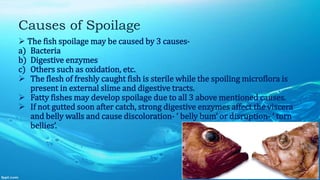 Fish and Marine Foods : Quality of fish | PPTX