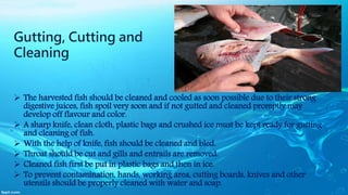 Fish and Marine Foods : Quality of fish | PPTX