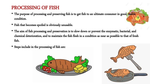 Quality of fresh fish | PPTX