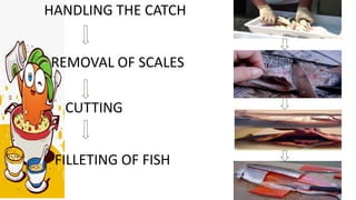 Quality of fresh fish | PPTX