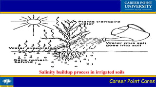 Quality of irrigation water | PPTX