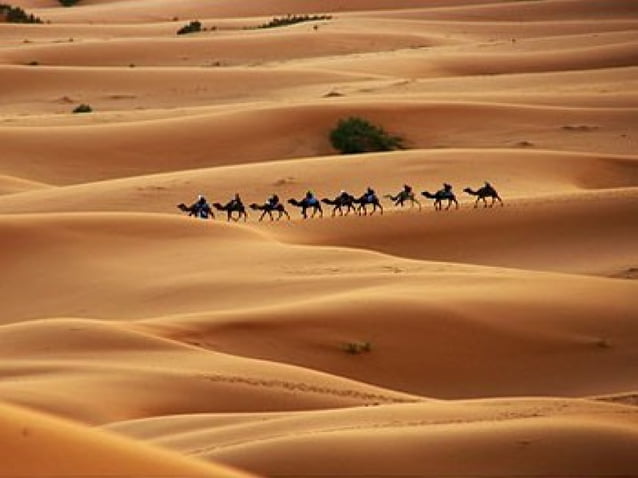 Life style of people living in Desert | PPT