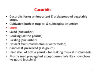 Quality parameters in cucurbits & gourds | PPTX