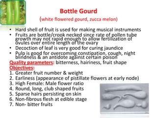 Quality parameters in cucurbits & gourds | PPTX