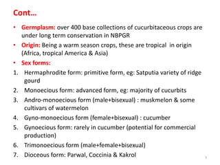 Quality parameters in cucurbits & gourds | PPTX