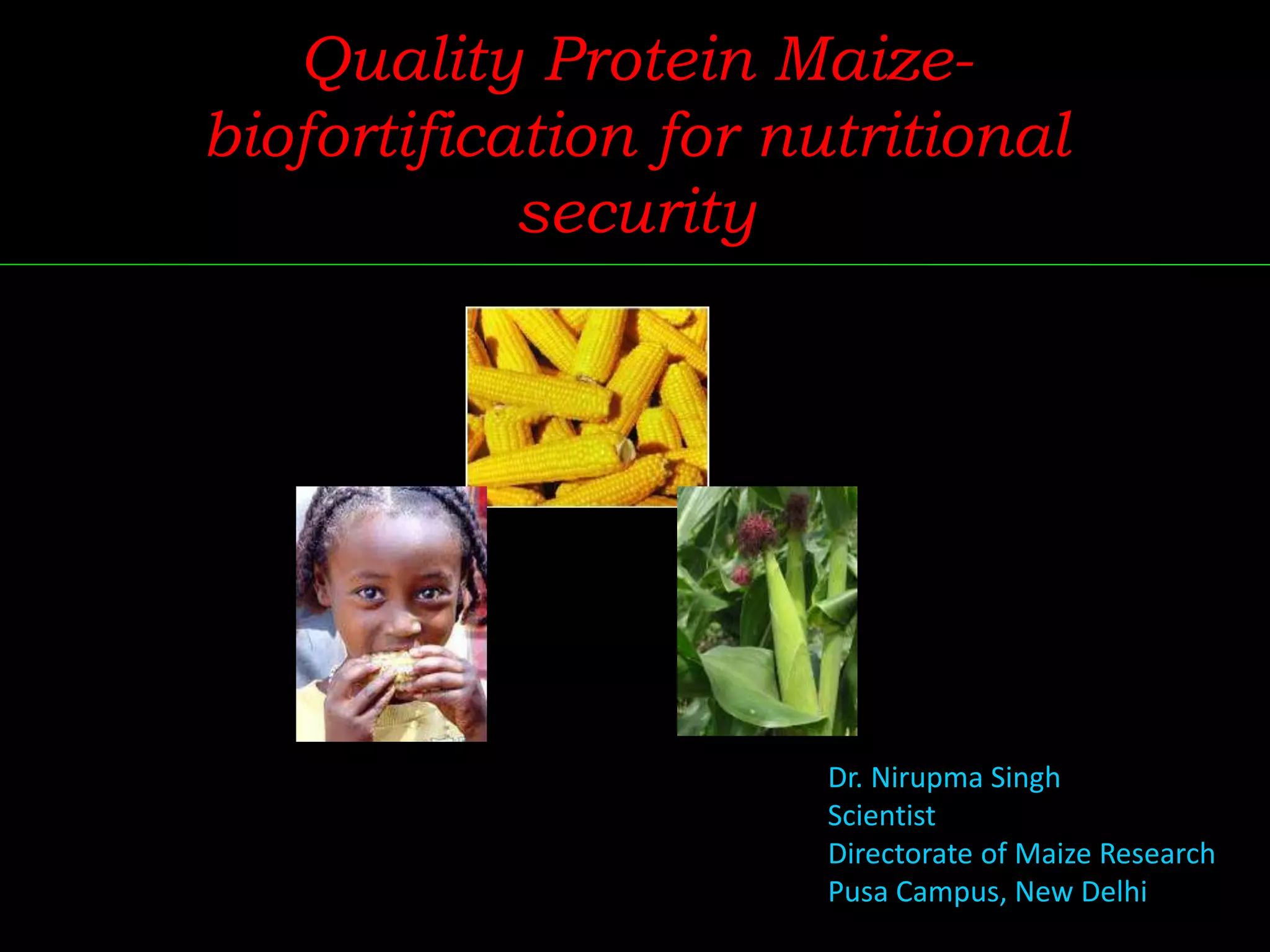 Quality protein maize biofortification for nutritional security | PPTX