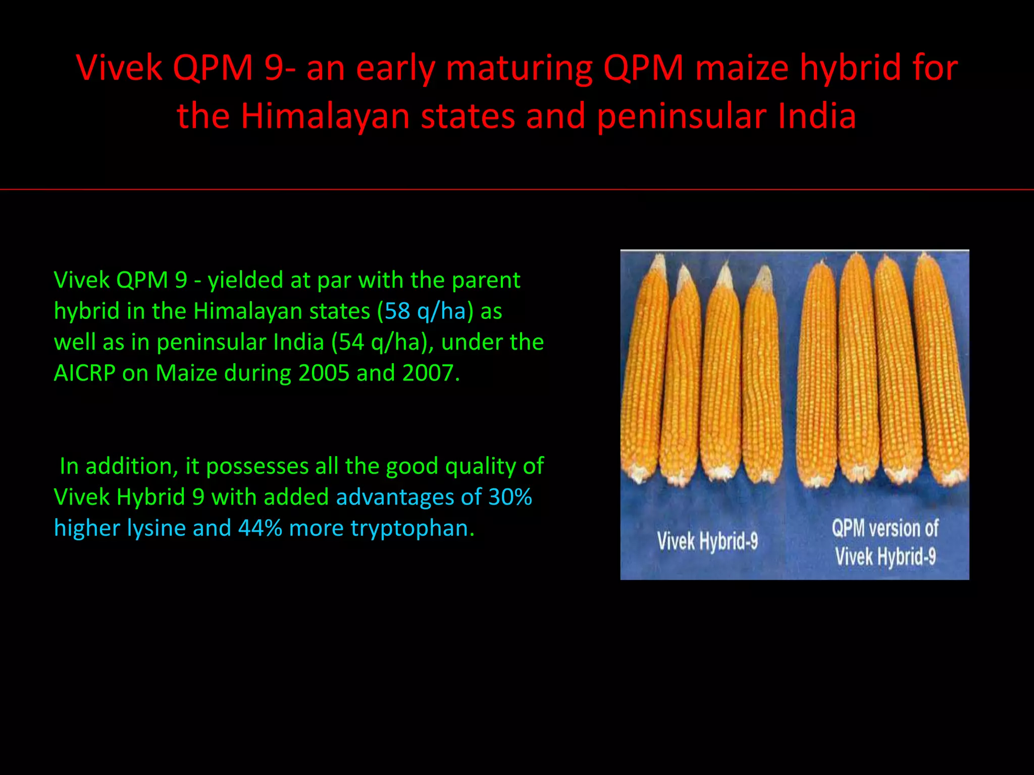 Quality protein maize biofortification for nutritional security | PPTX