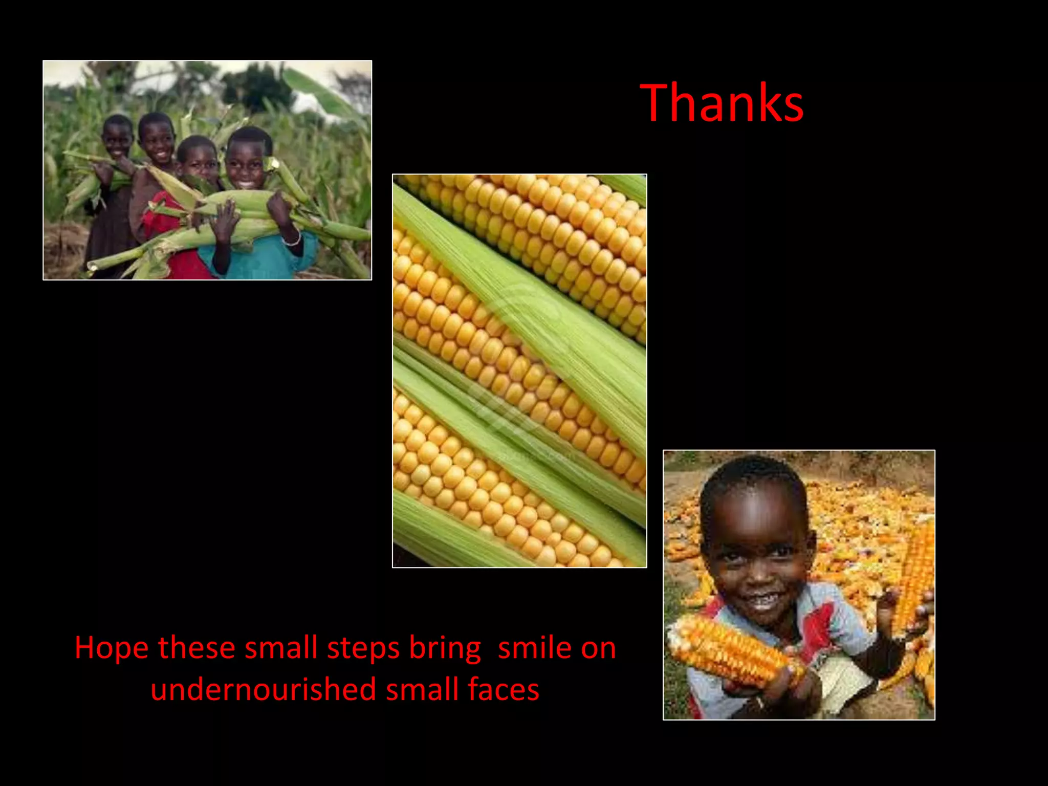 Quality protein maize biofortification for nutritional security | PPTX