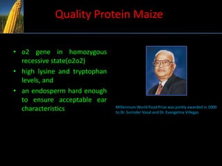 Quality protein maize biofortification for nutritional security | PPTX