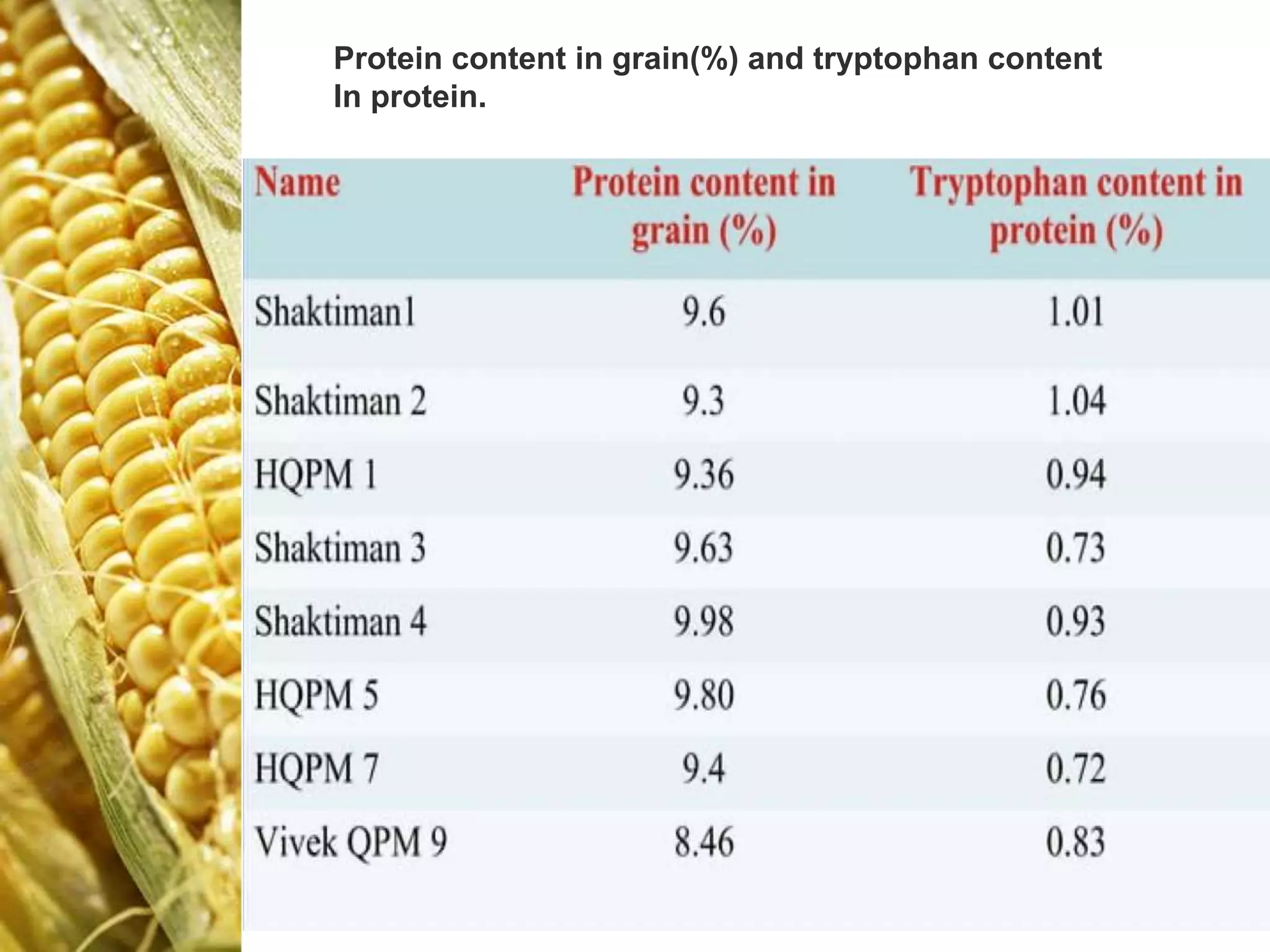 Quality protein Of maize .pptx