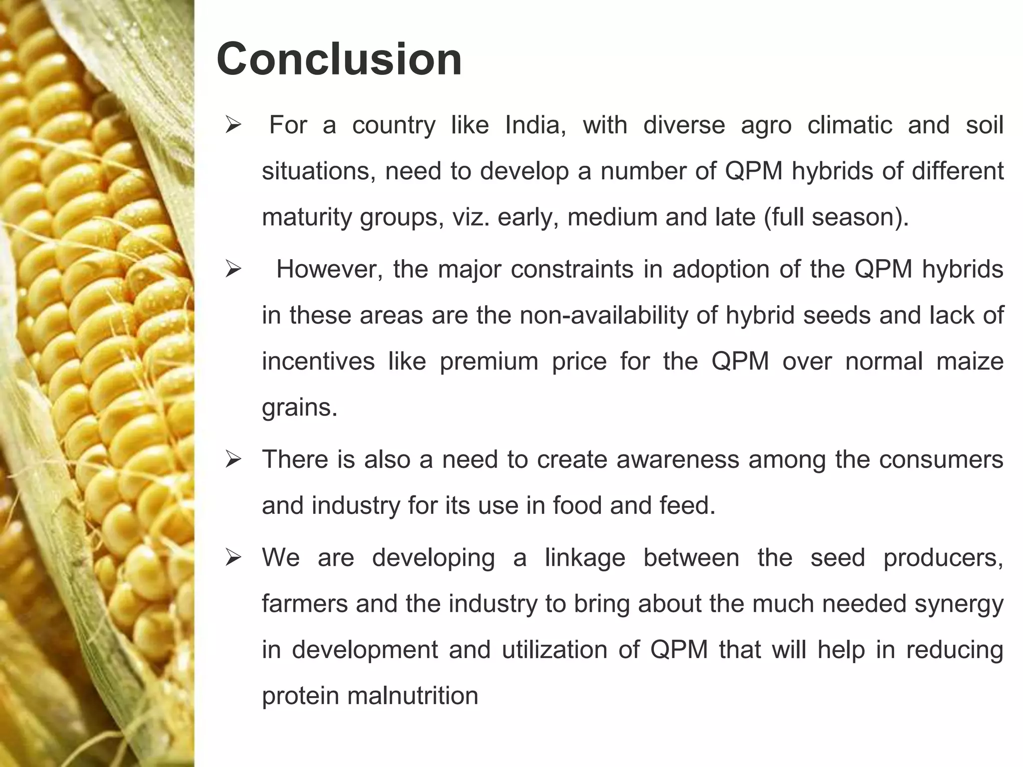 Quality protein Of maize .pptx