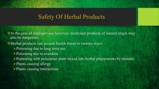 Quality, Safety and Legislation of Herbal Products in India | PDF