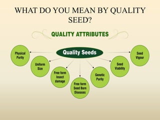 Quality seed production in soybean | PPTX