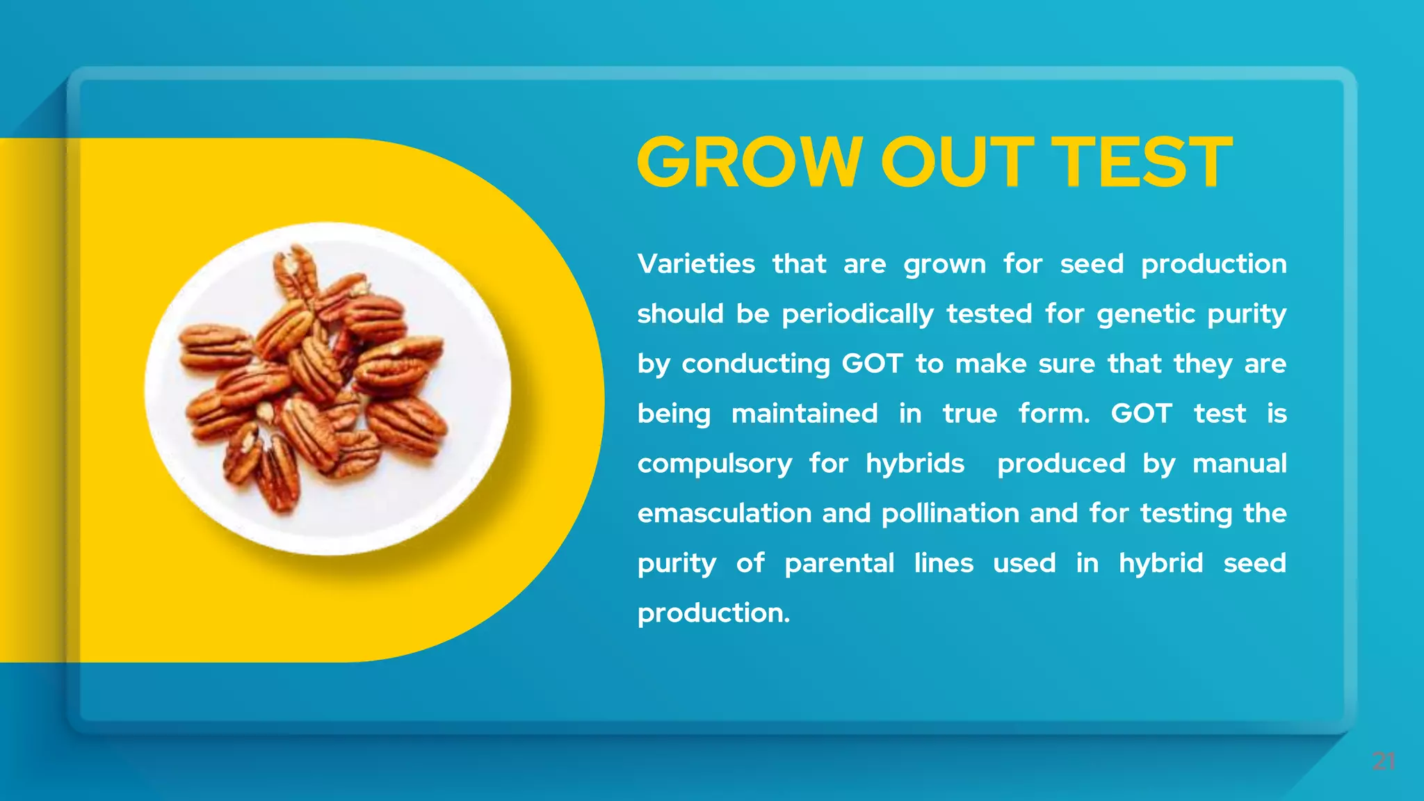 Seed quality testing | PDF