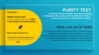 Seed quality testing | PDF