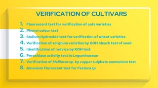 Seed quality testing | PDF